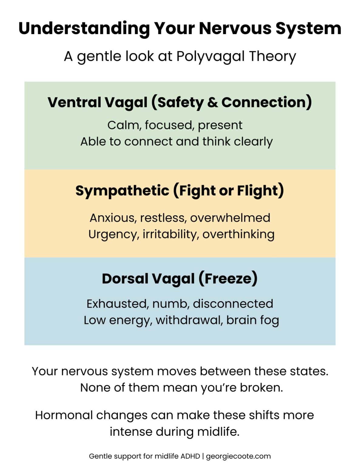 Polyvagal Theory, ADHD & Menopause Explained